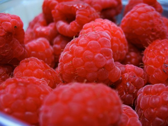 | Mixed Berry Melomel RecipeJay's Brewing Blog