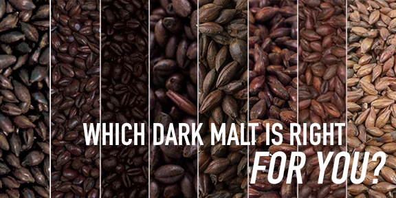 | Which Dark Malt is the Right Dark Malt for You?Jay's Brewing Blog